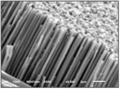 Solid State Physics and Polymer Lab